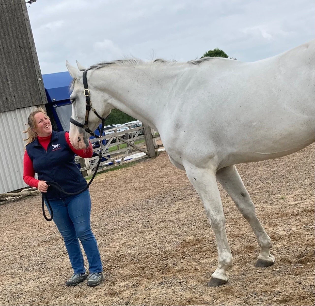Myofascial Chains – Equine Therapists CPD with Gillian Higgins, Horses ...