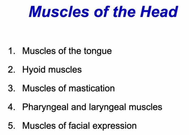 The Anatomy of the Head with Gillian Higgins - Horses Inside Out ...