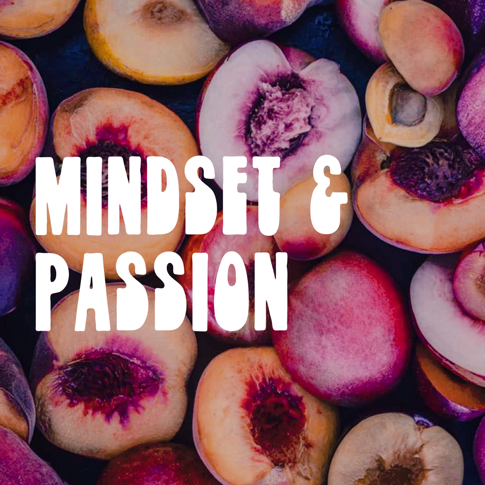 PISH POSH GUEST GUIDE — pish posh podcast