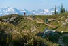 Booking — Sol Mountain Lodge
