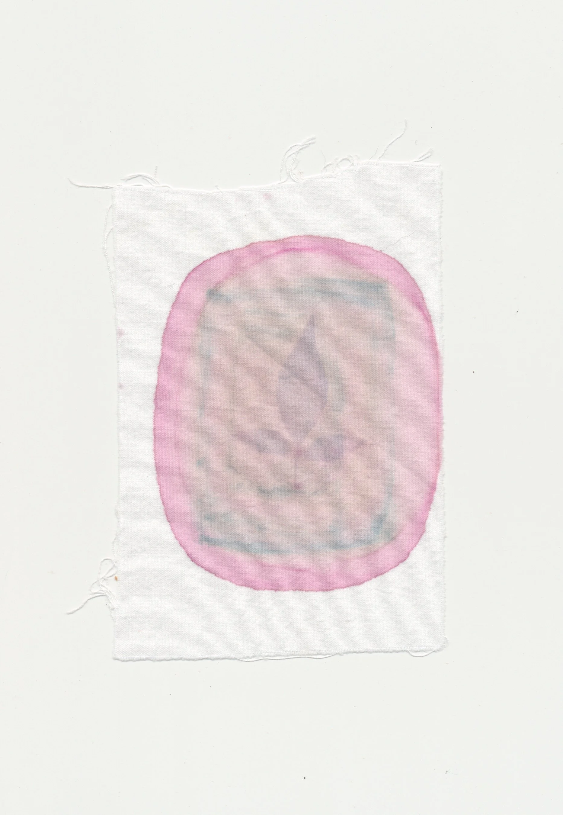 Anthotypes — Rachel Rector