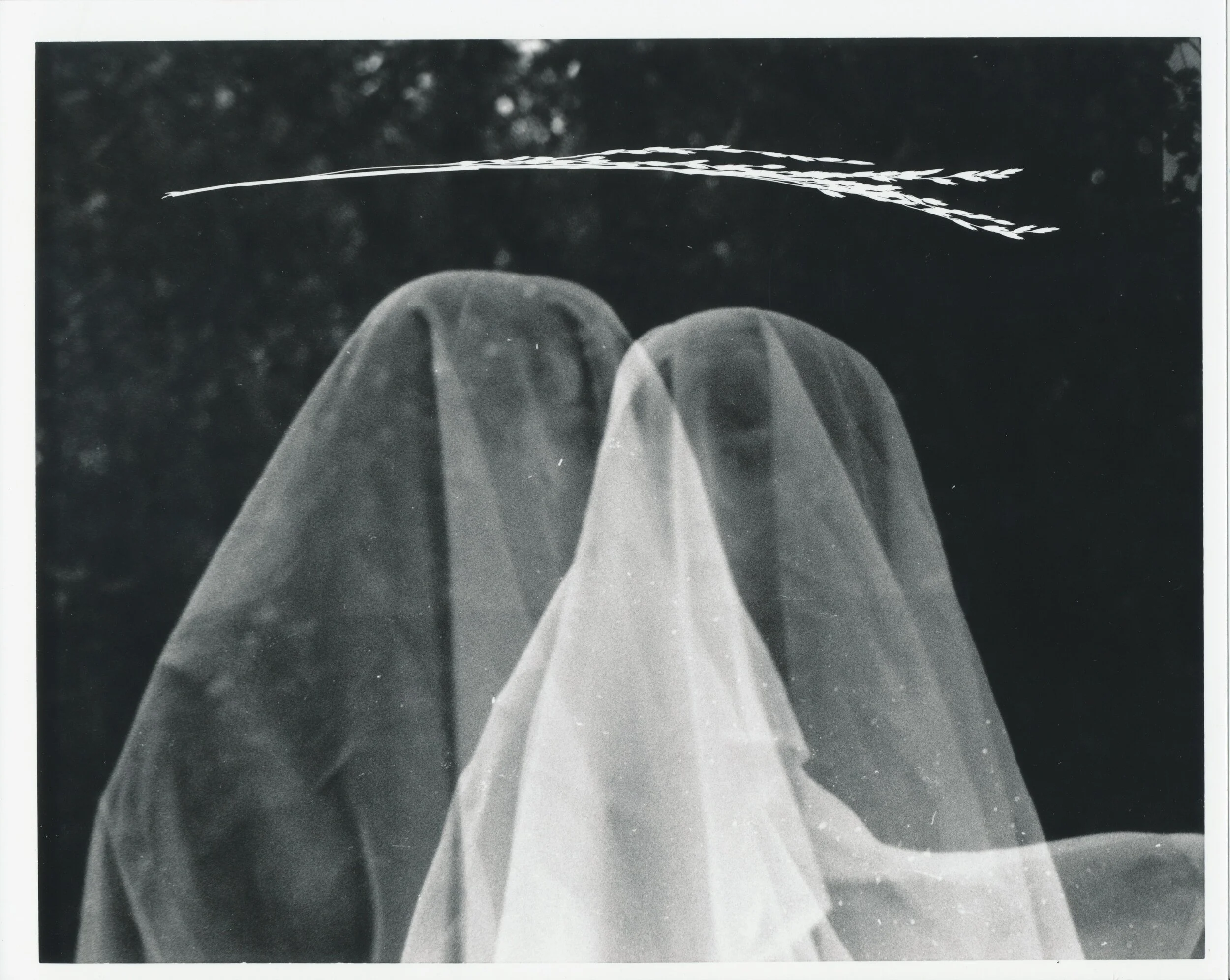 35mm & 120 film — Rachel Rector