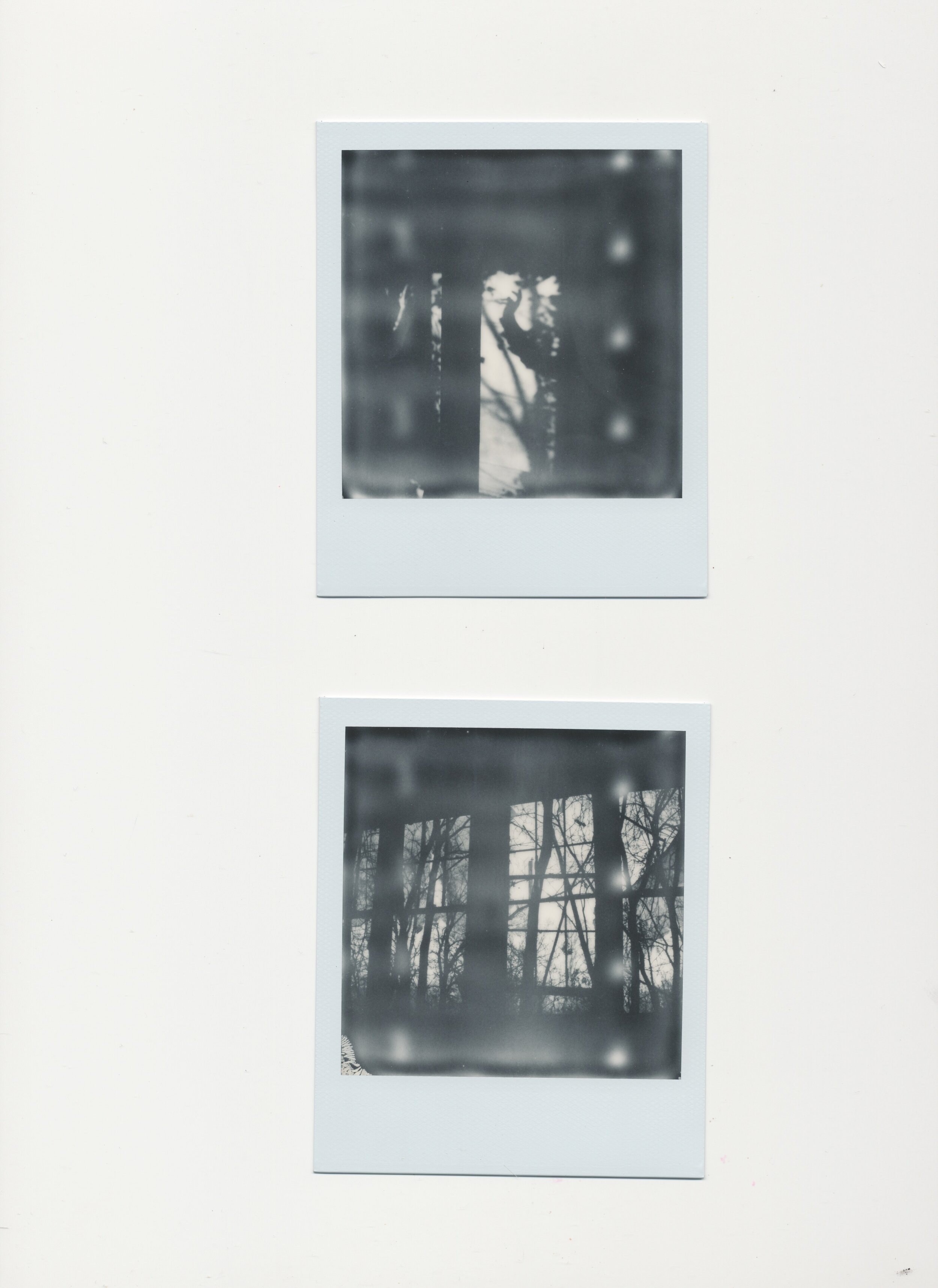 nature/home — Rachel Rector