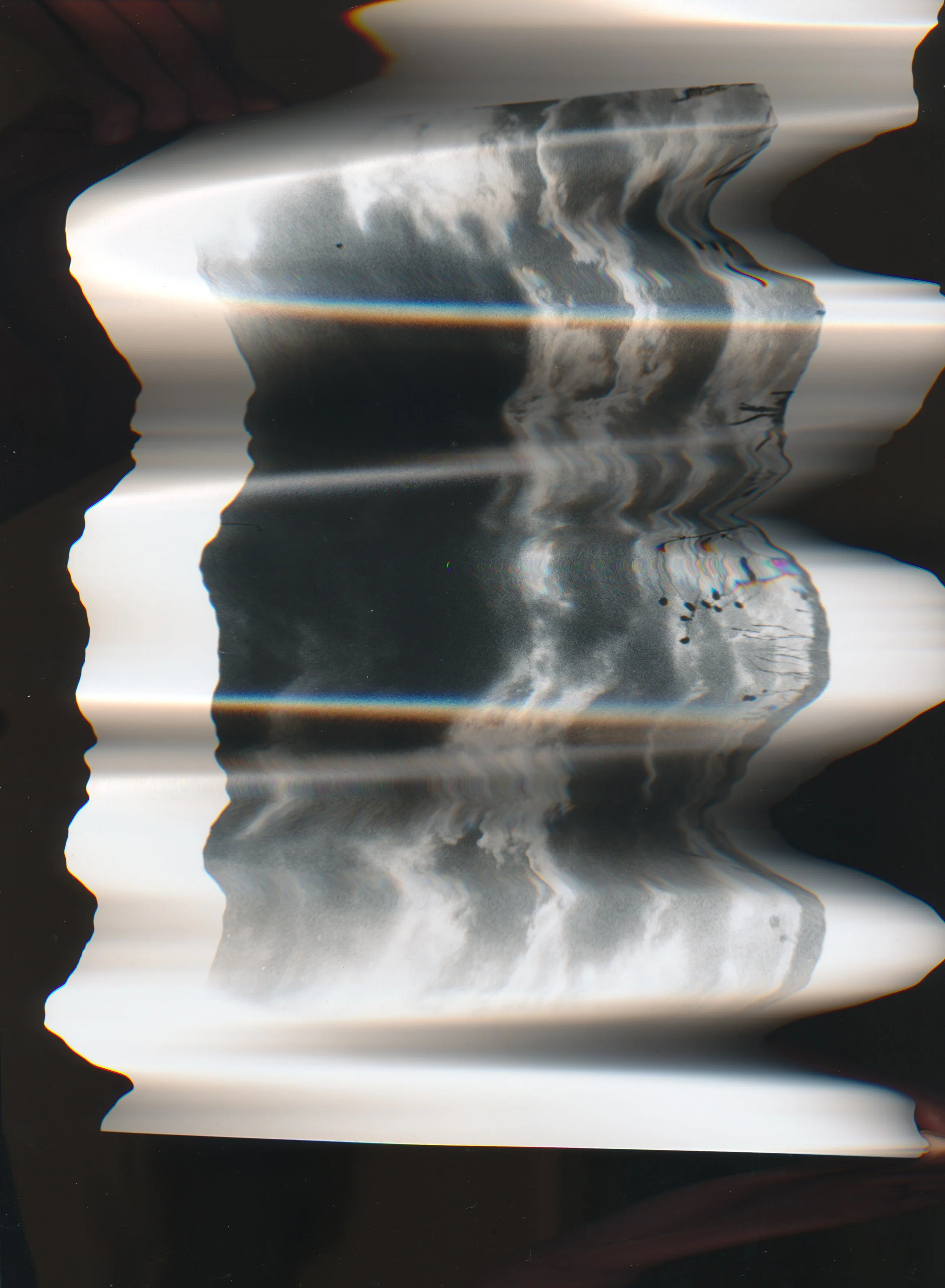 Scanography — Rachel Rector