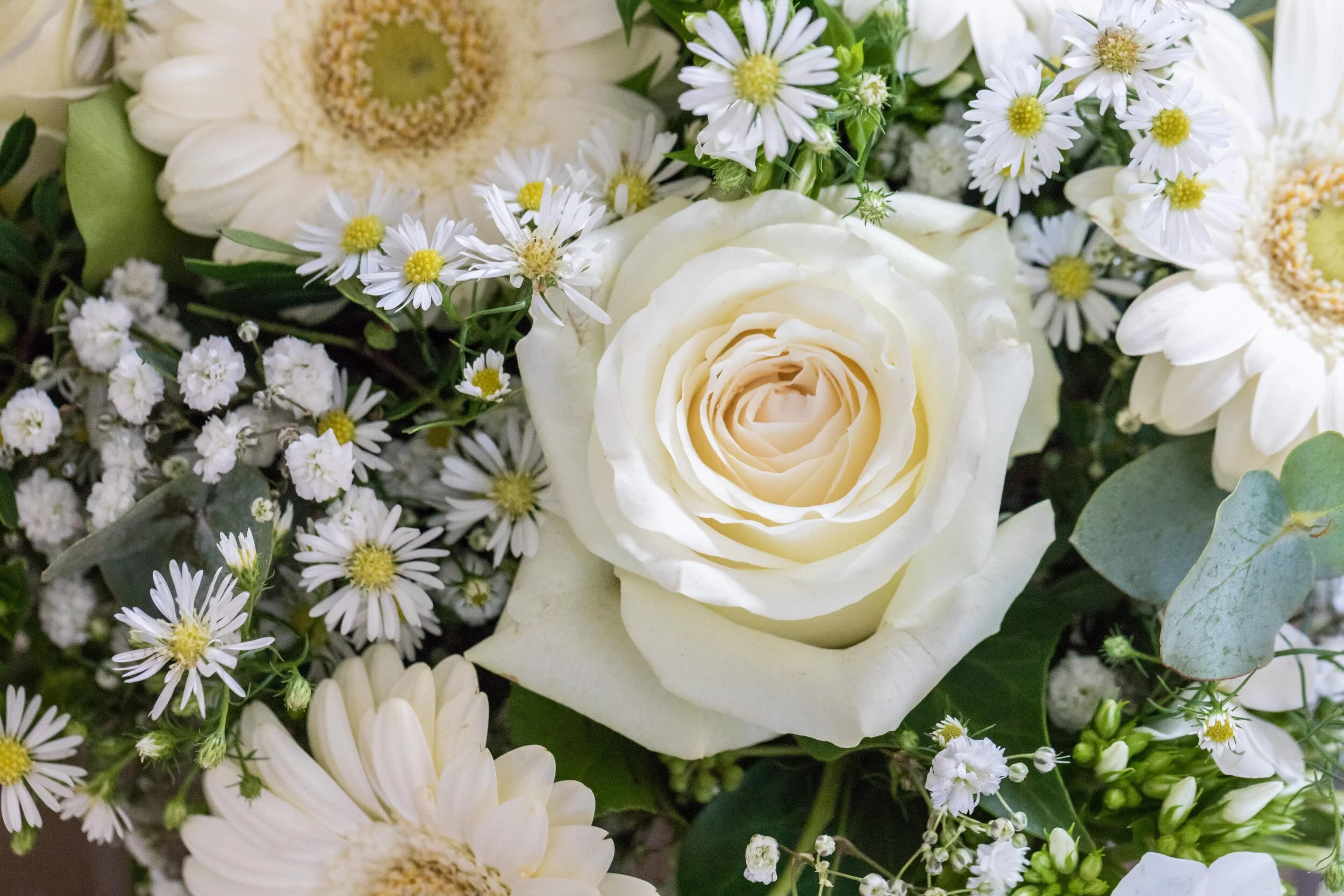 Cognac Wedding Photography — Florence and Charles