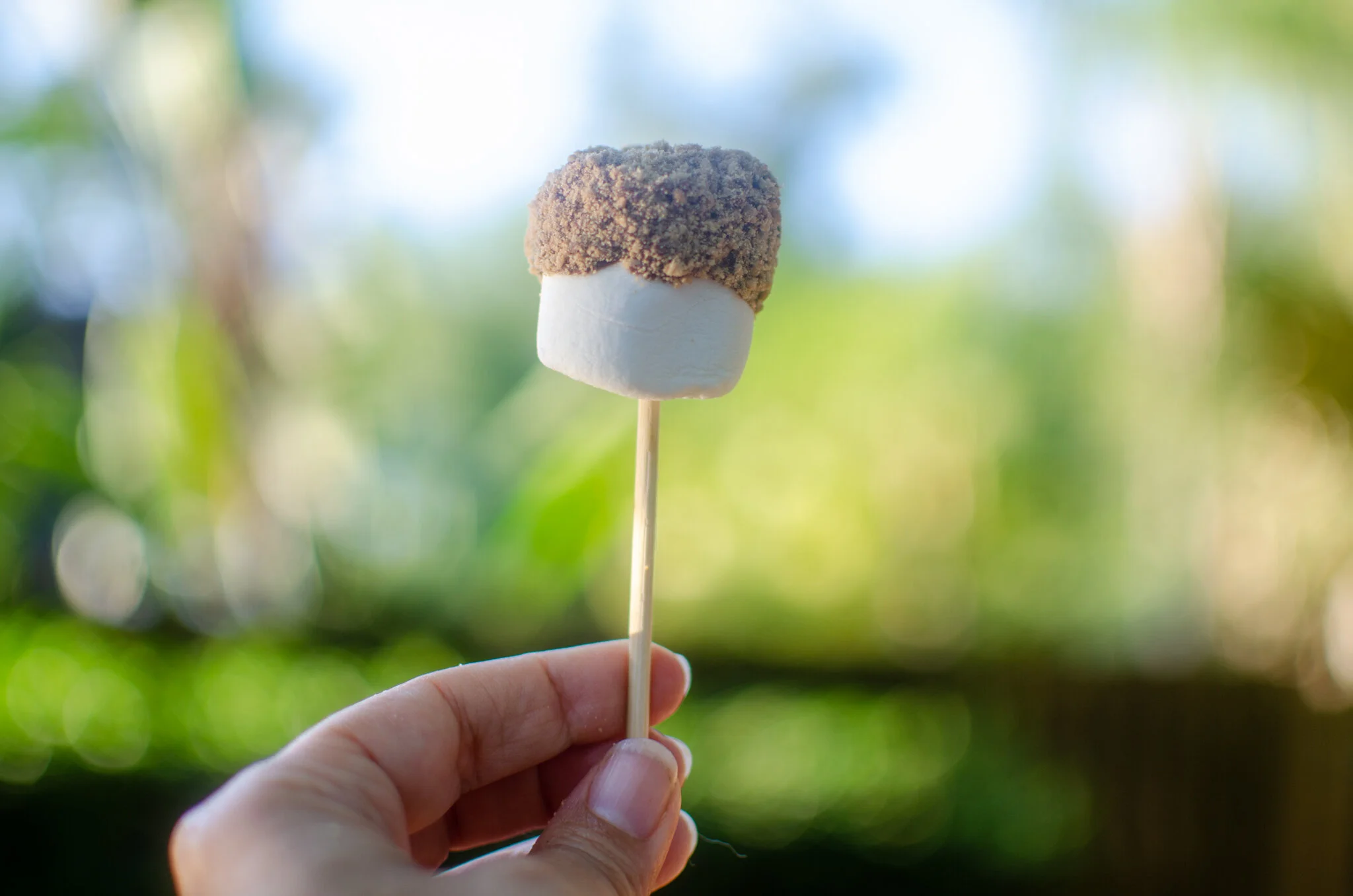 DIY: S’more pops — Our Happy Tribe
