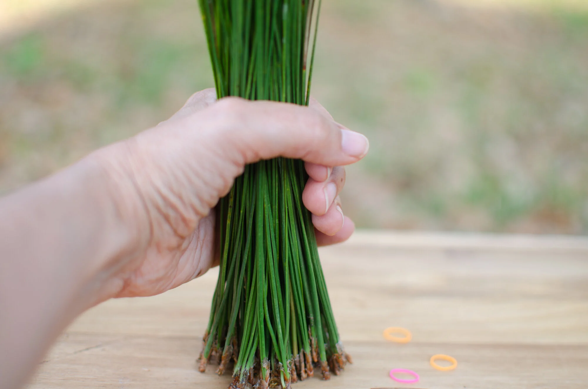 DIY: Handheld besom (broom) — Our Happy Tribe