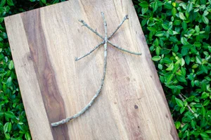 DIY: Sun wheel wand — Our Happy Tribe