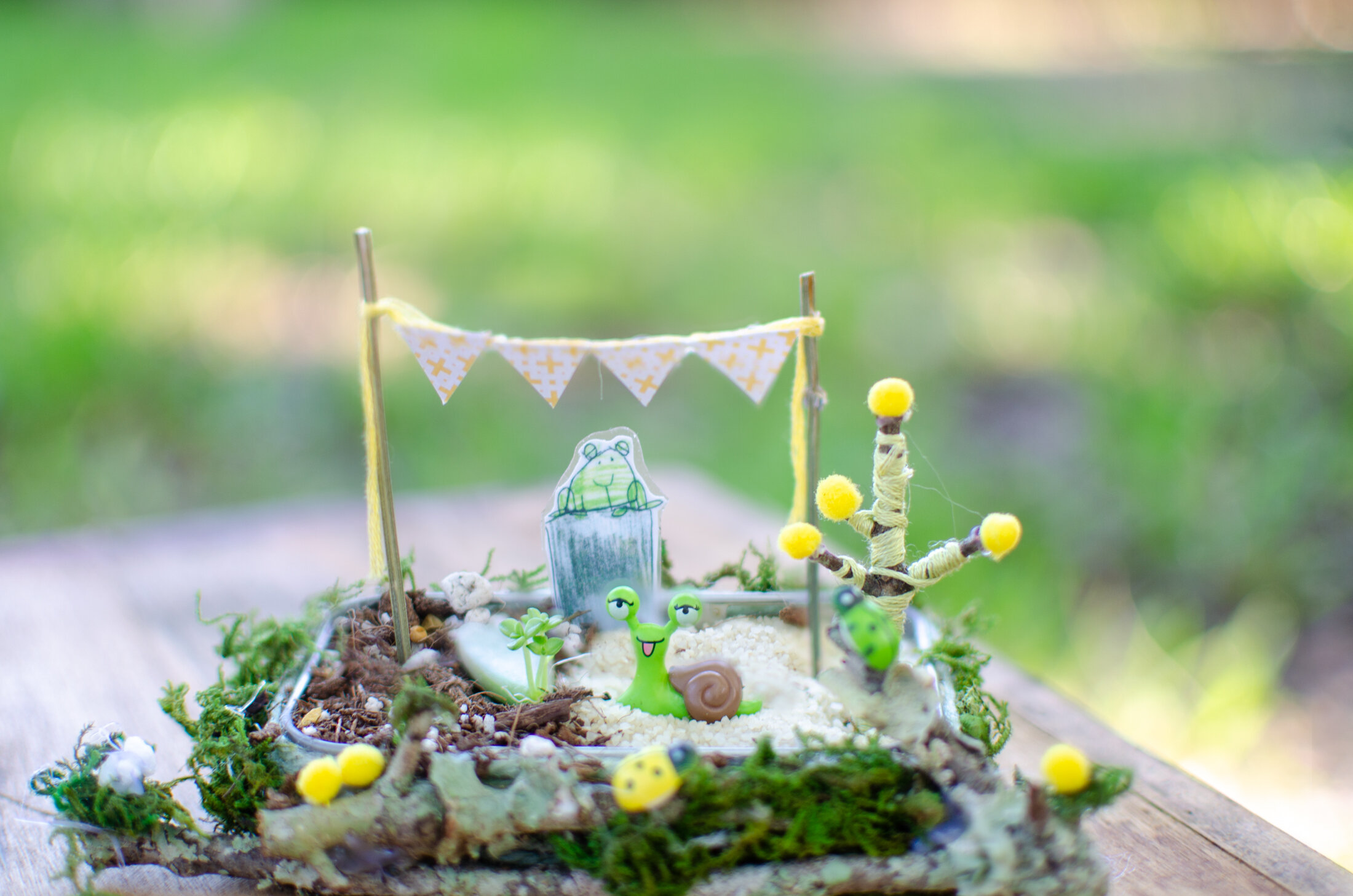 DIY: Mini Garden — Our Happy Tribe