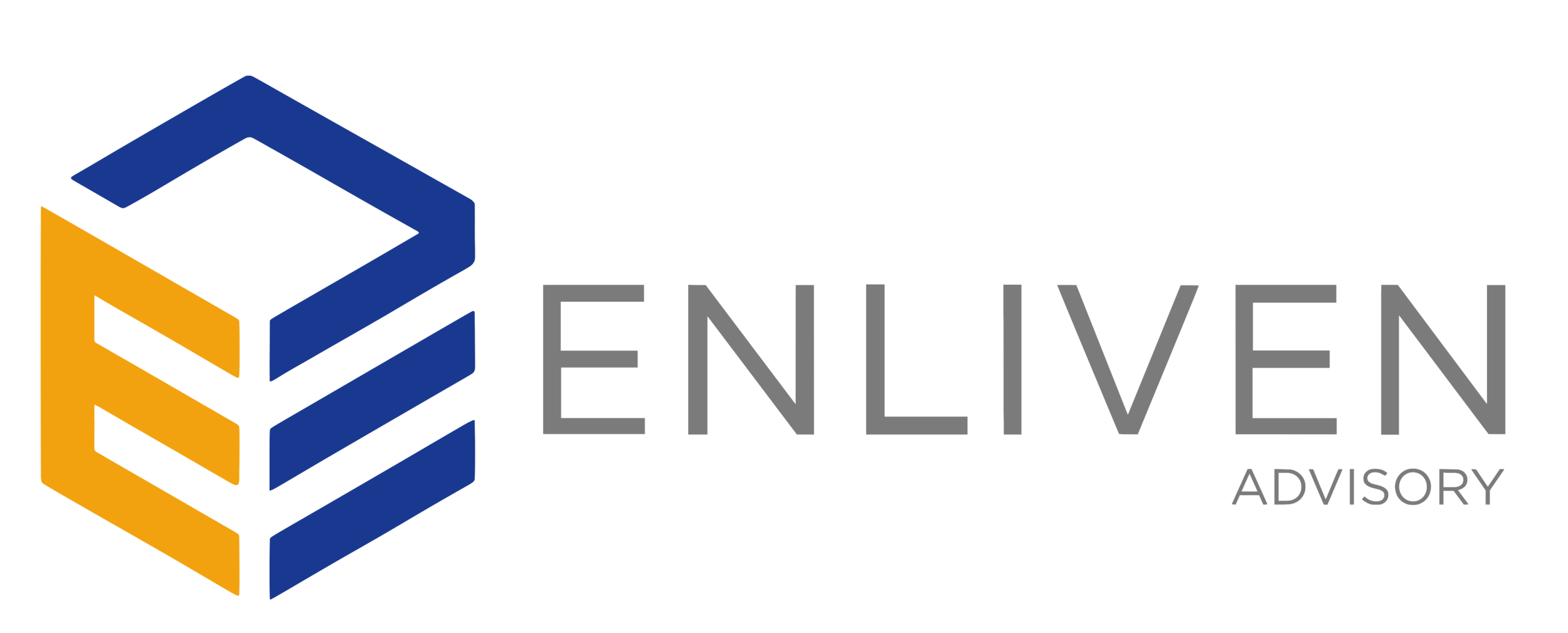 Enliven Team — Enliven Advisory