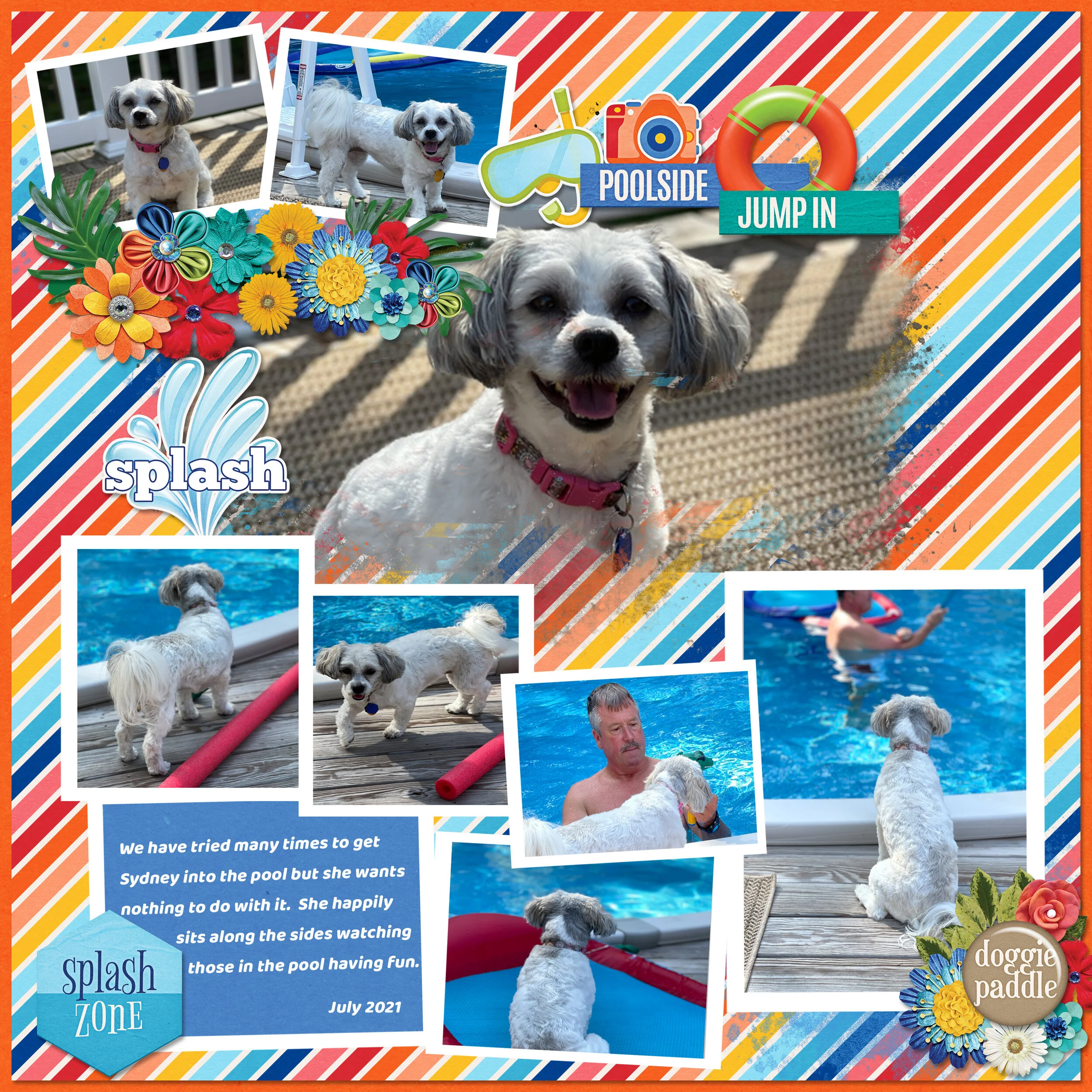 Sydney Poolside — Life on the Bluff