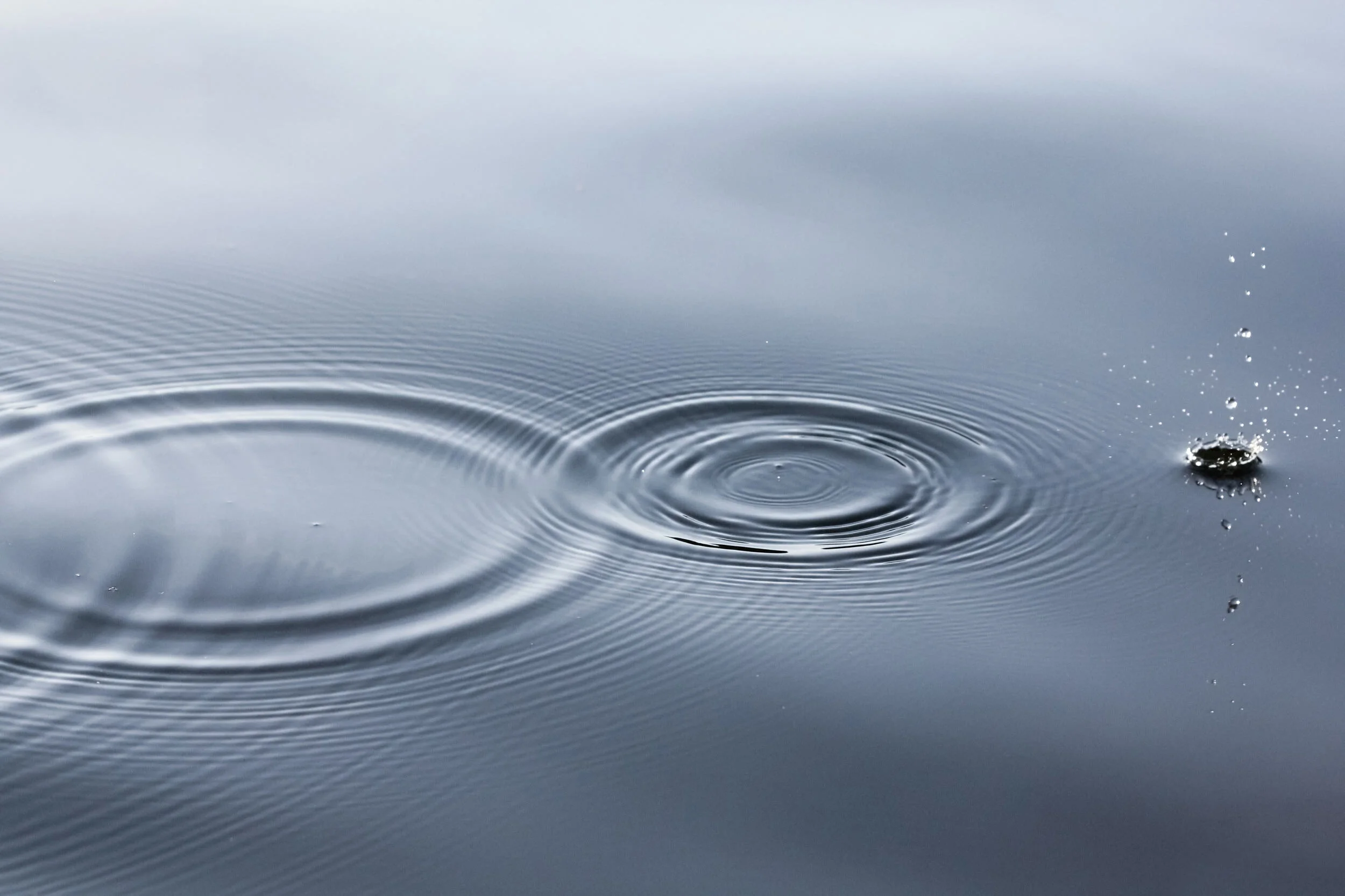 Texas Water Foundation