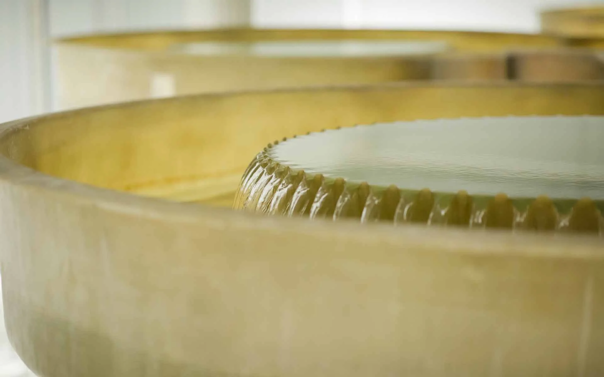 Sustainable Agriculture — Superior Fresh