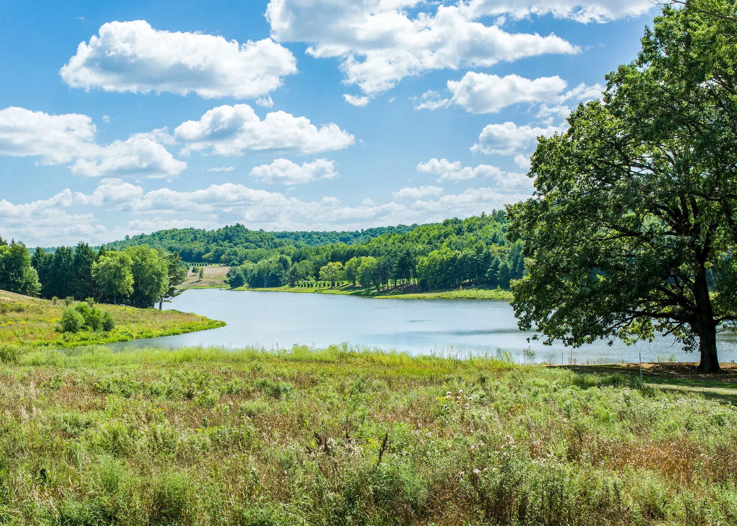 Sustainable Agriculture — Superior Fresh