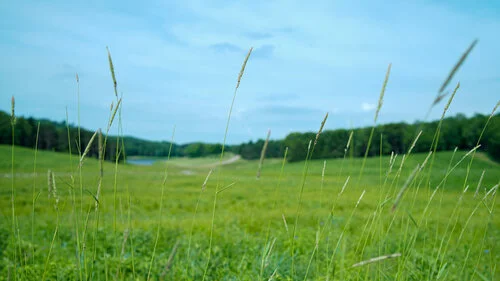 Sustainable Agriculture — Superior Fresh