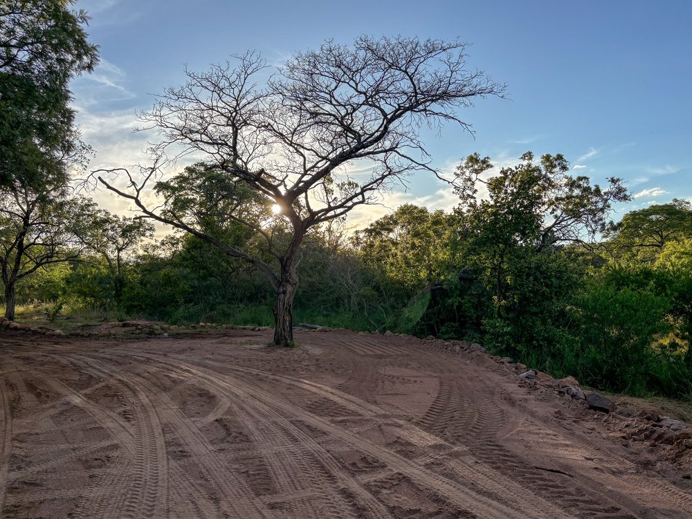 Leopard Camp — Matla Noka