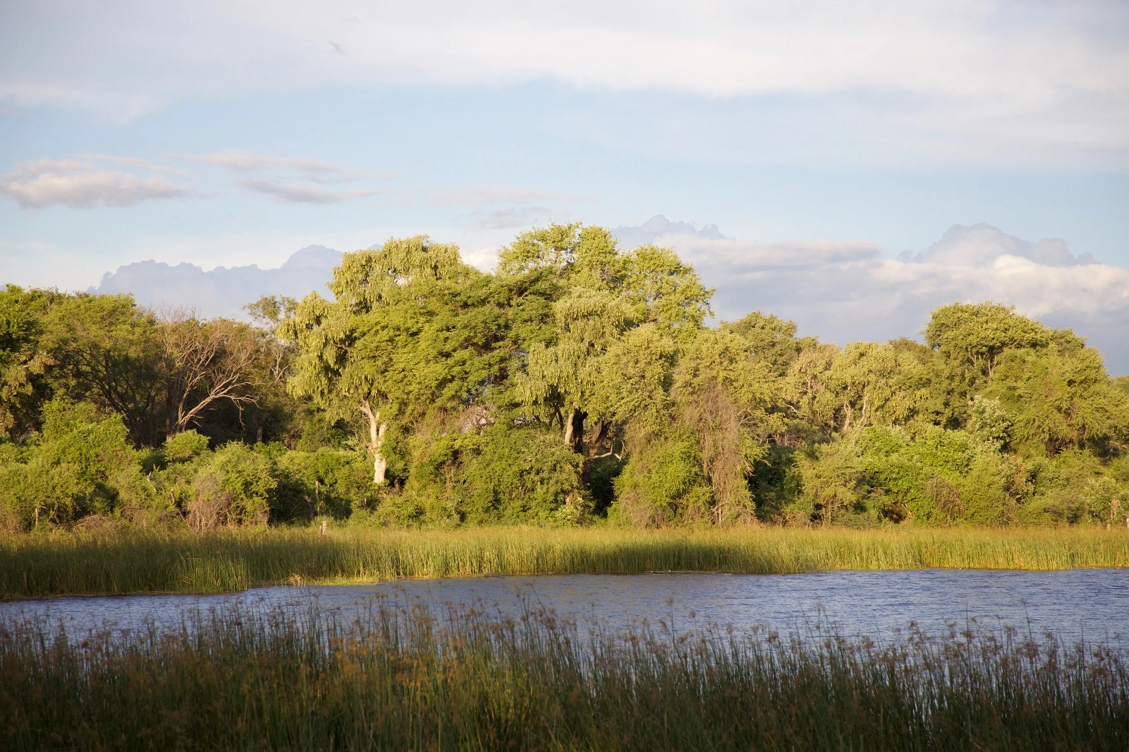 Our Botswana Camp — Matla Noka