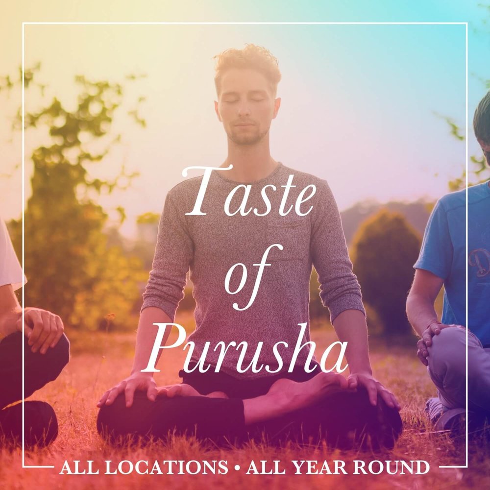 The ultimate TM Retreat – enjoy a Taste of Purusha — Maharishi Purusha