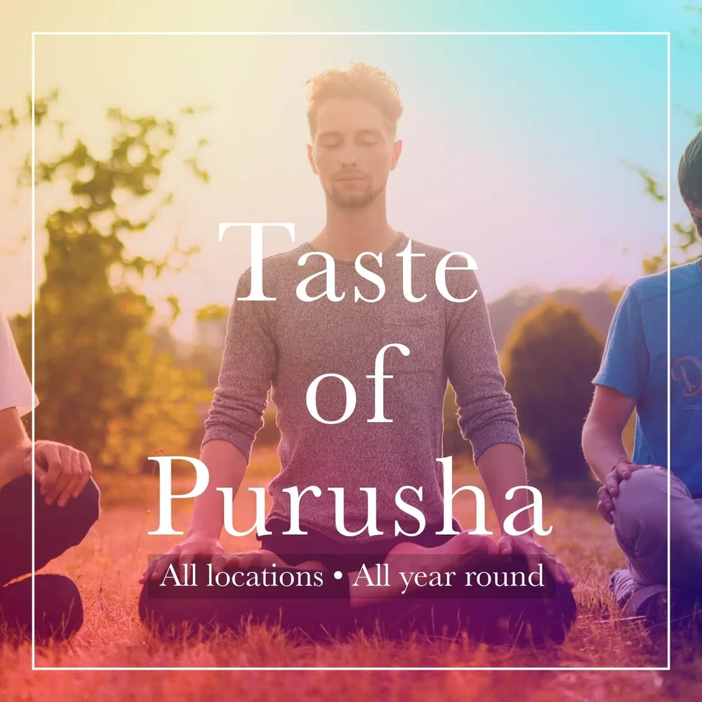 The ultimate TM Retreat – enjoy a Taste of Purusha — Maharishi Purusha