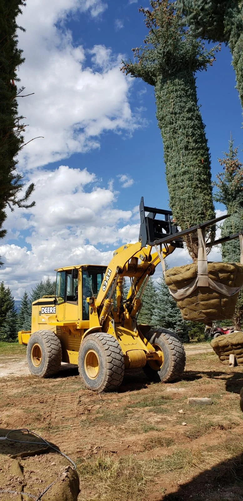 Spruce Point Tree Farm