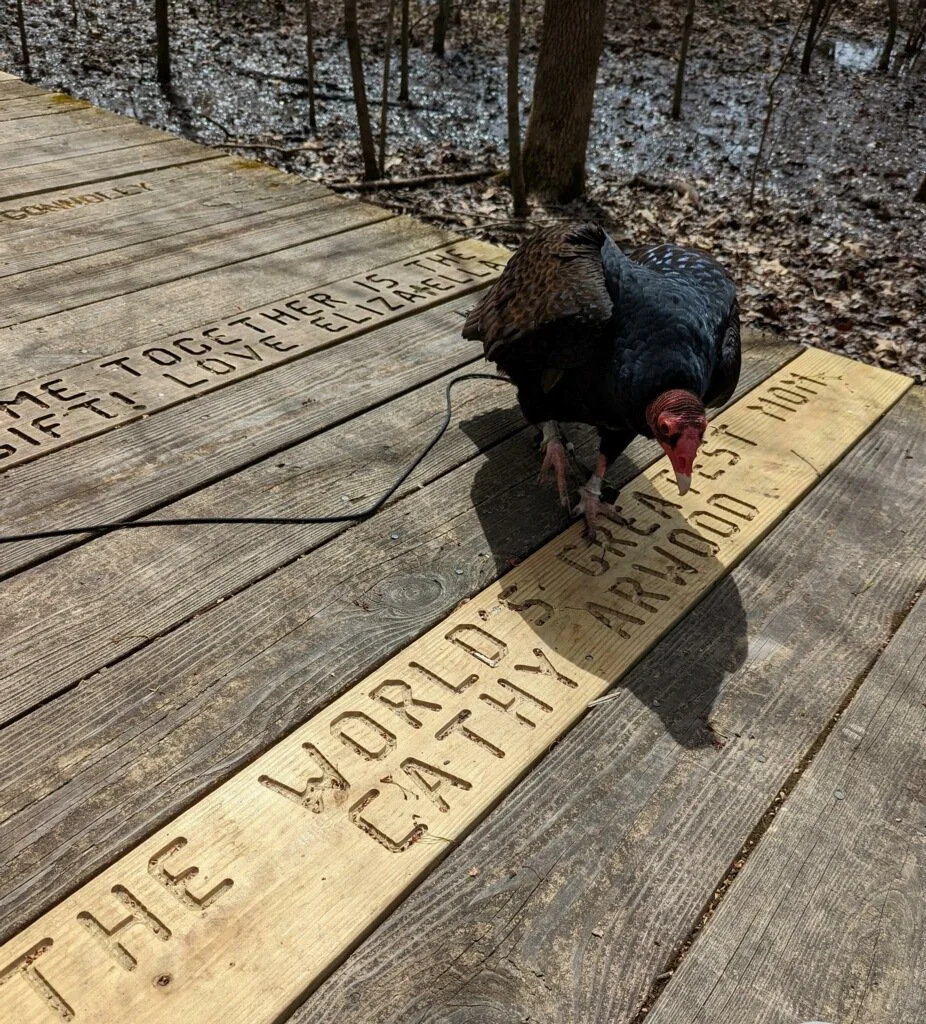 Memorials and Planned Giving — Wesselman Woods