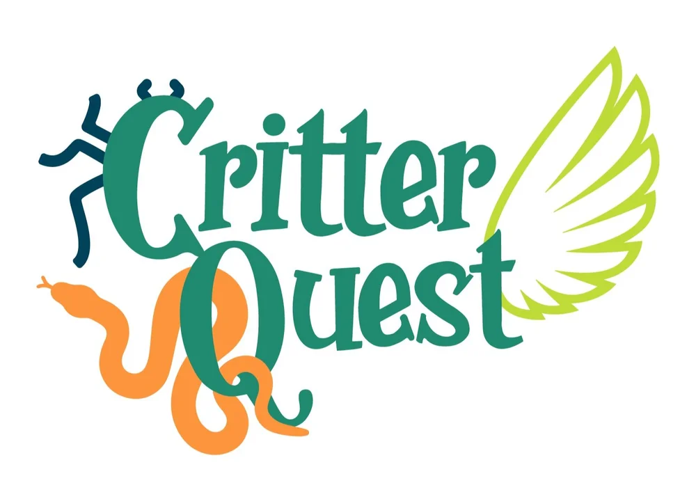 Summer Camps — Wesselman Woods