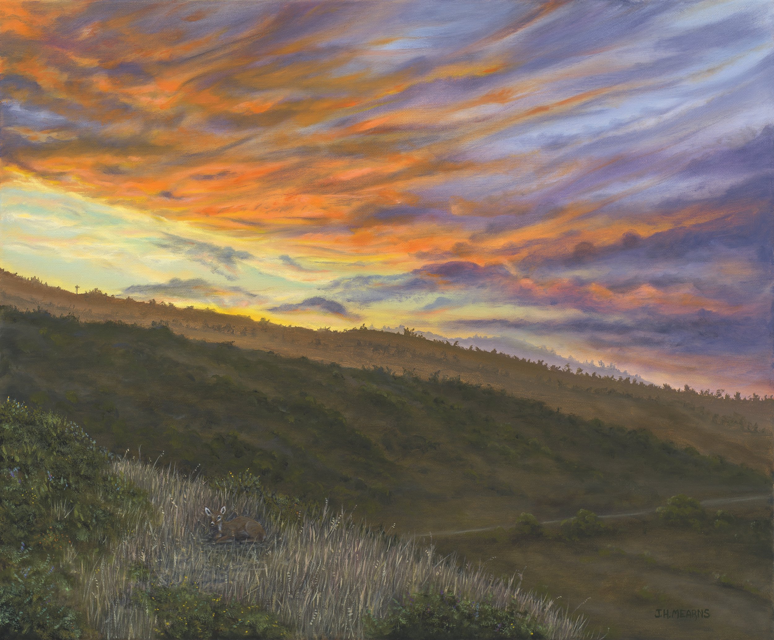 John Mearns Art - Paintings and Canvas Prints of Big Sur