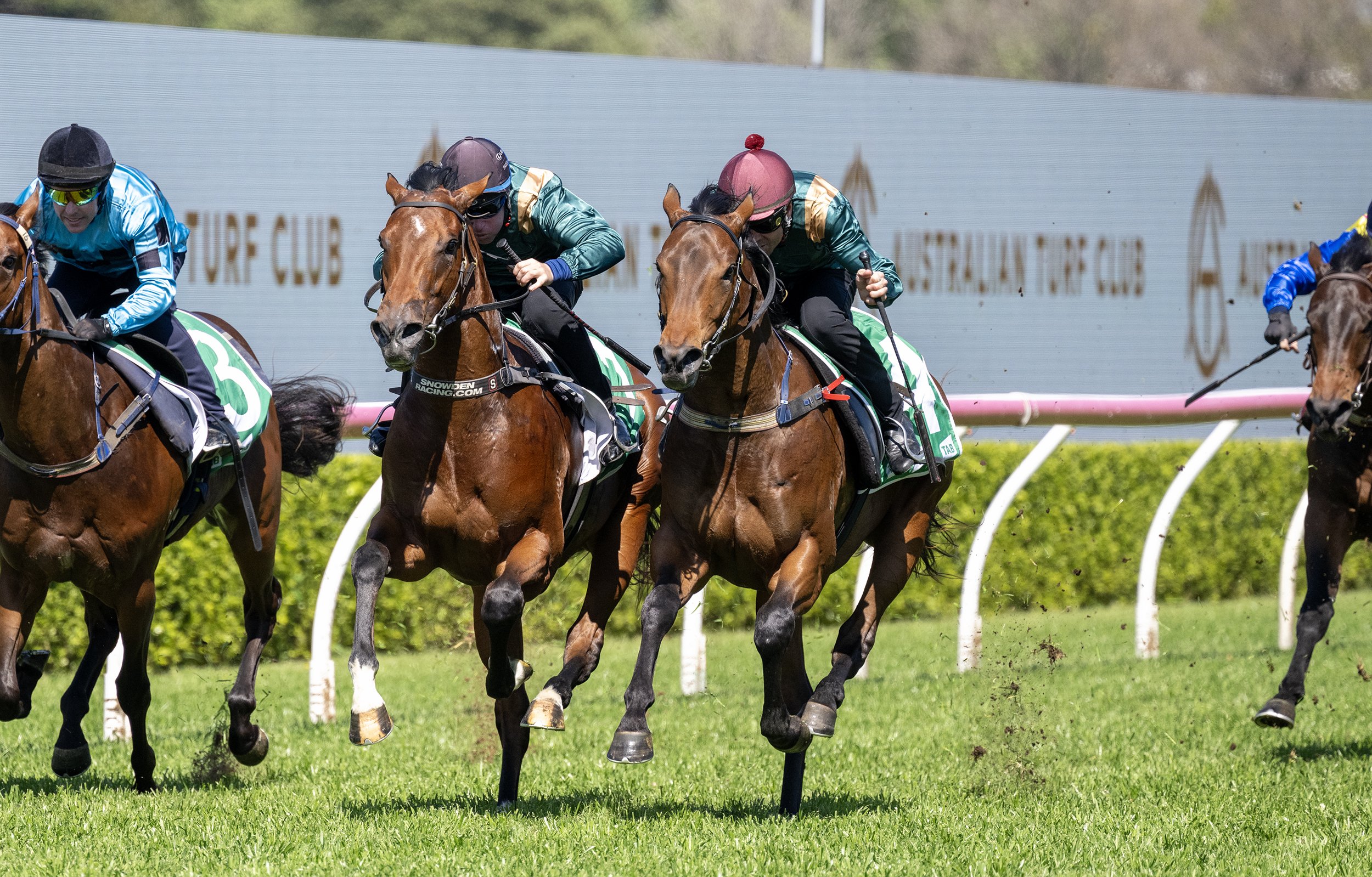 James Harron Bloodstock