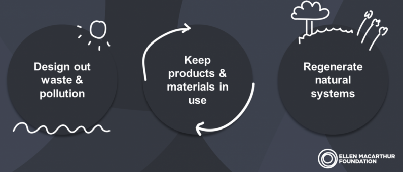 What Is The Circular Economy — Rebecca Agent Business Consultant