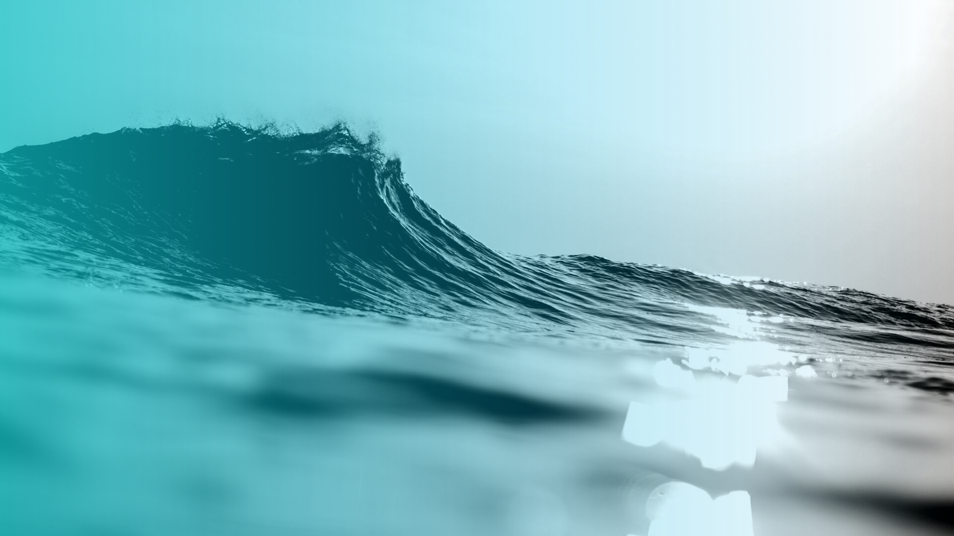 Blue-X | Blue Economy Innovation