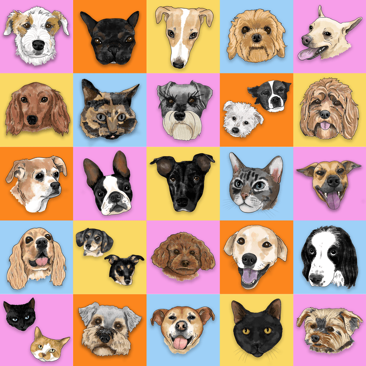 Ryal ~ Synth, Electronic Band