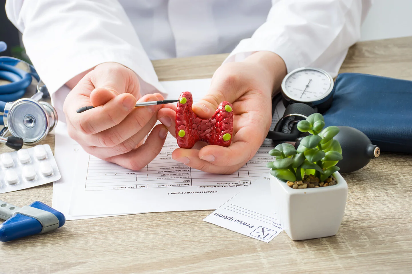 Overview of Services — Sydney Endocrinology | Multidisciplinary ...