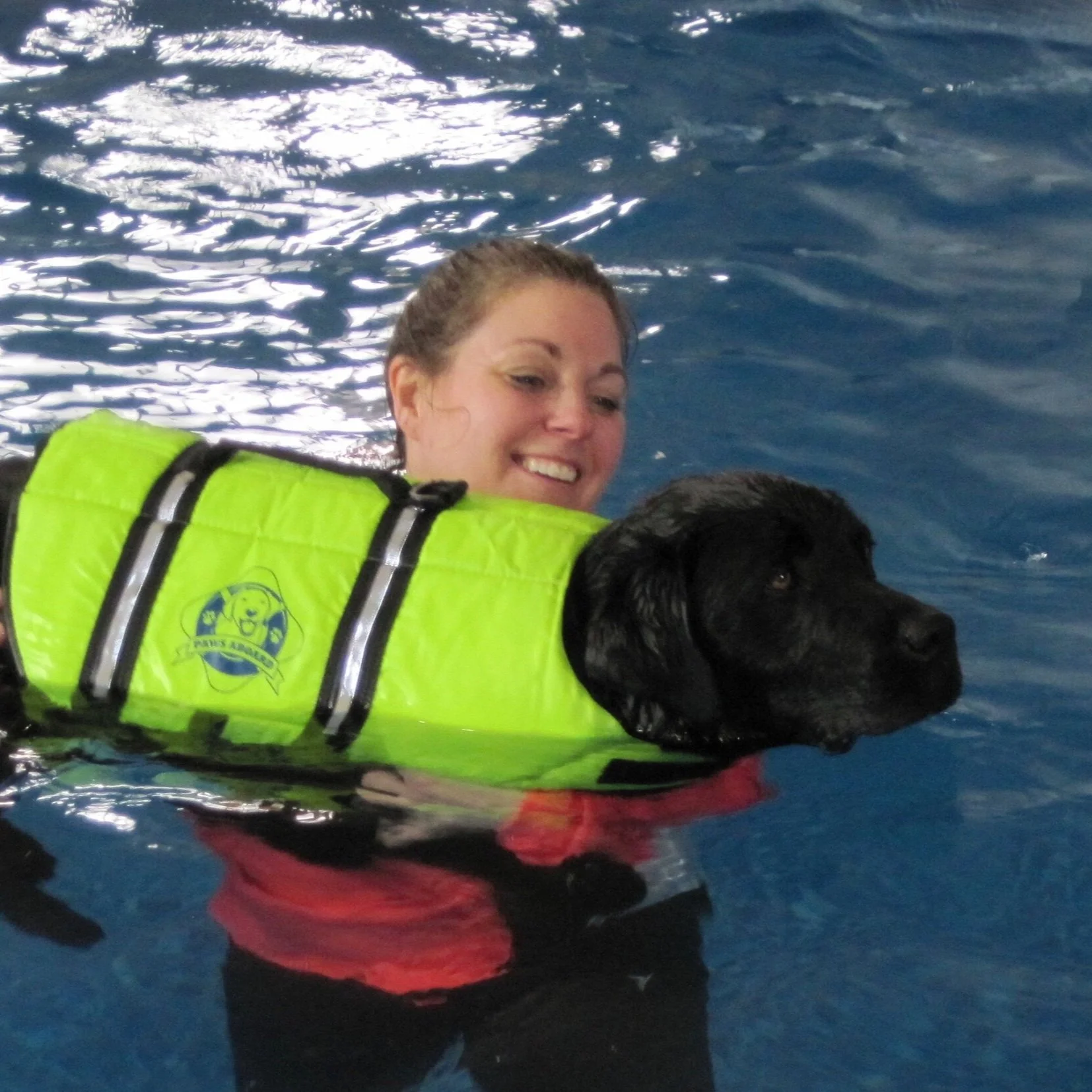 About — SandDancer Canine Swim