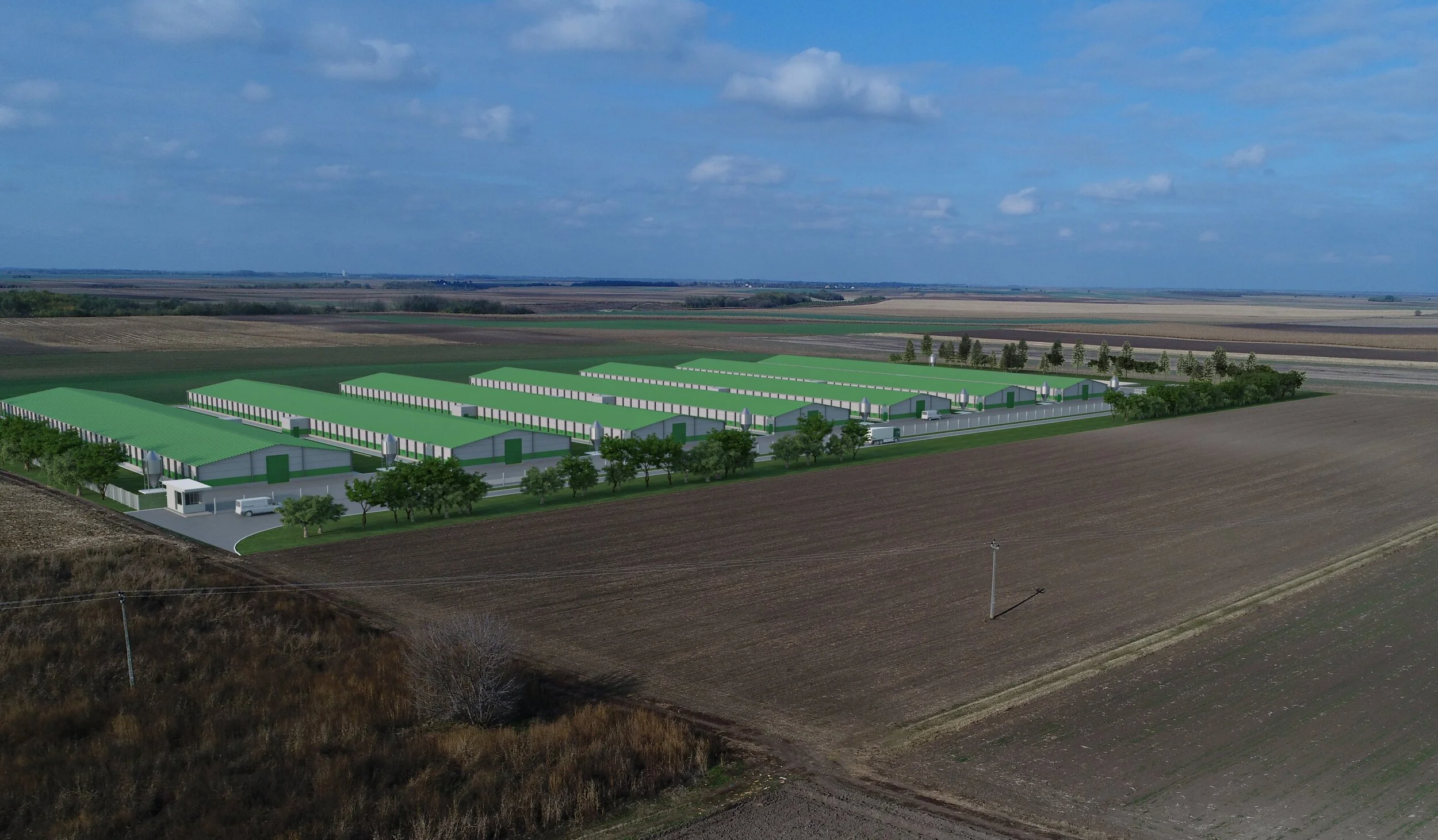 Perutnina Ptuj, Backa Topola — STRUCTURA CONCEPT