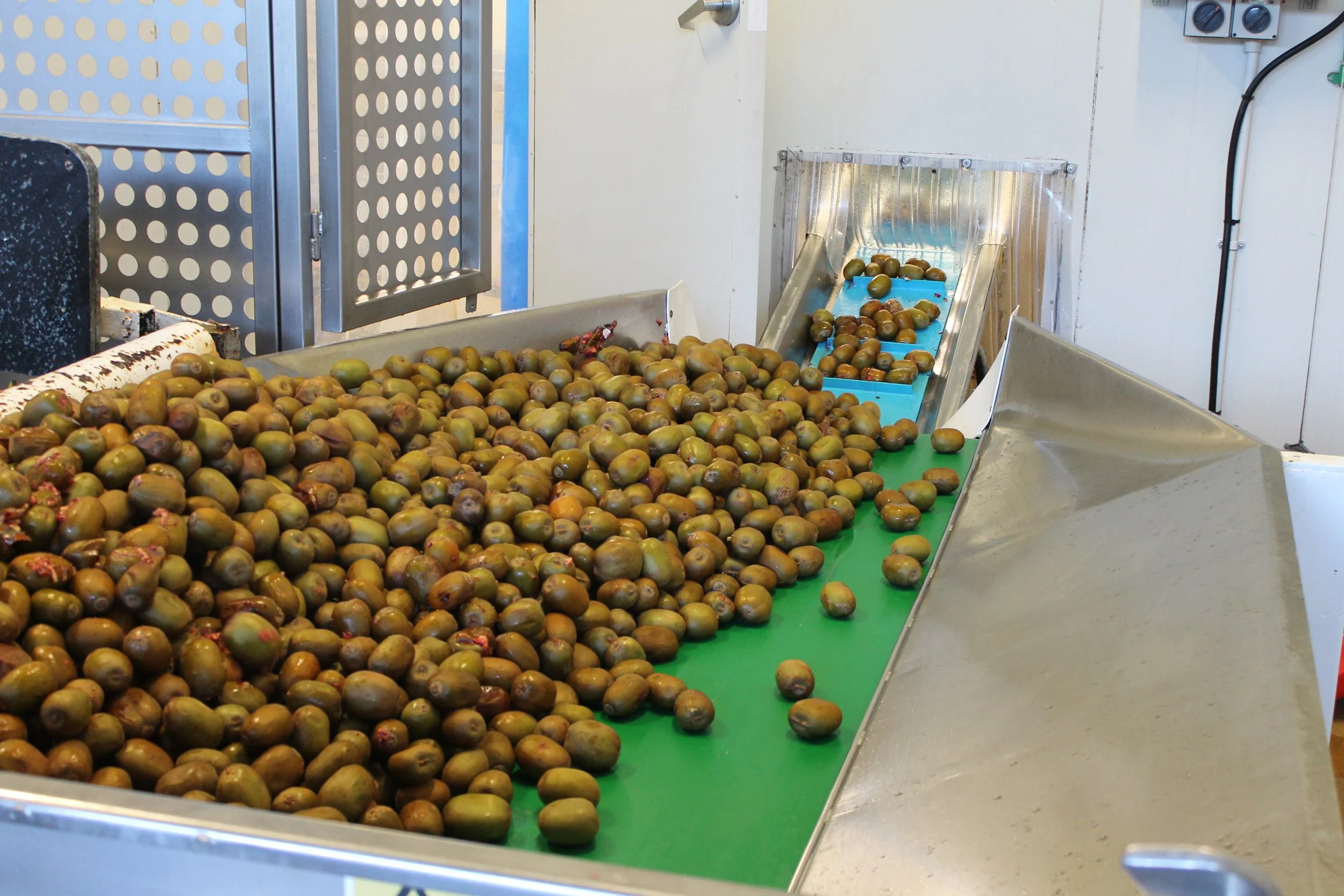 Who Are Kiwifruitz? — Kiwifruitz