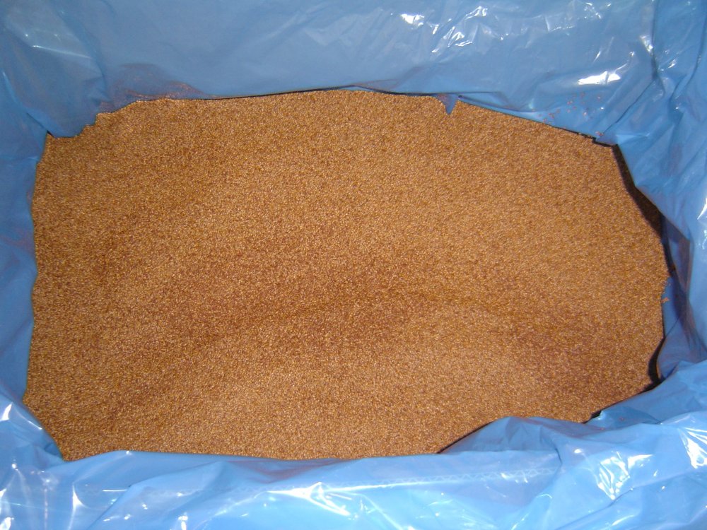 The Power of Kiwifruit Seeds — Kiwifruitz