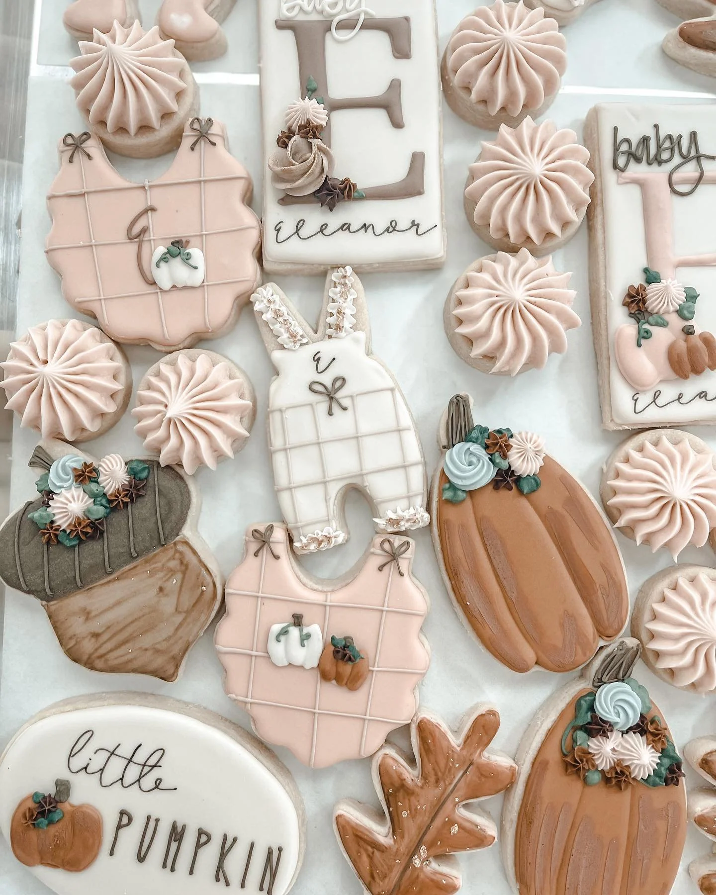 Baby Shower Custom Cookies | Fall Pumpkin Theme | MH Cookie Shoppe # ...