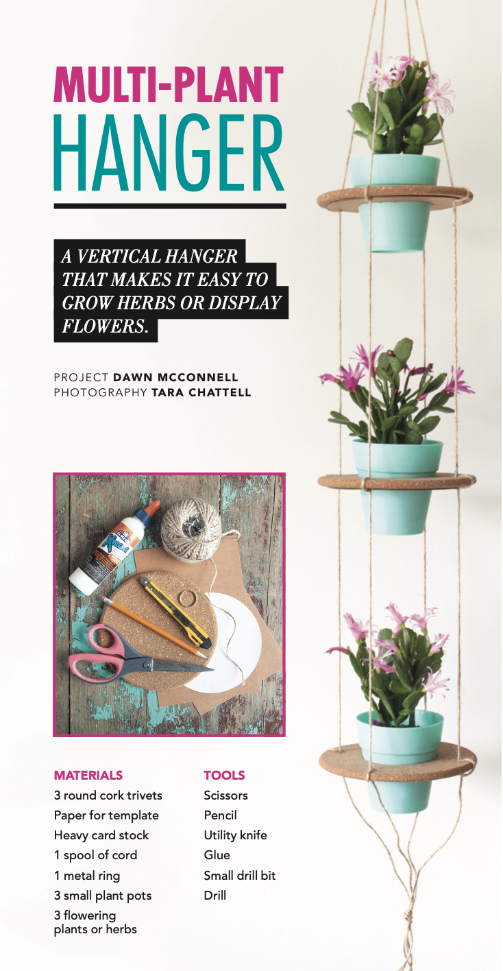 Multi-Plant Hanger — OUR HOMES Magazine – Celebrating Life at Home