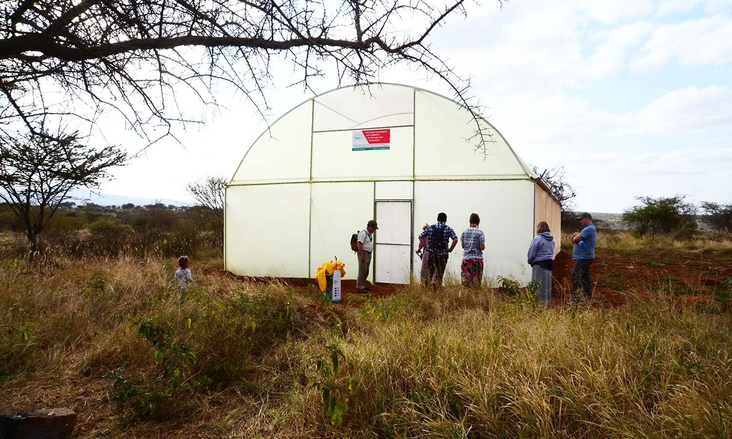 A Sustainable Hat Trick: TGE’s Greenhouse Program — The Giving Exchange