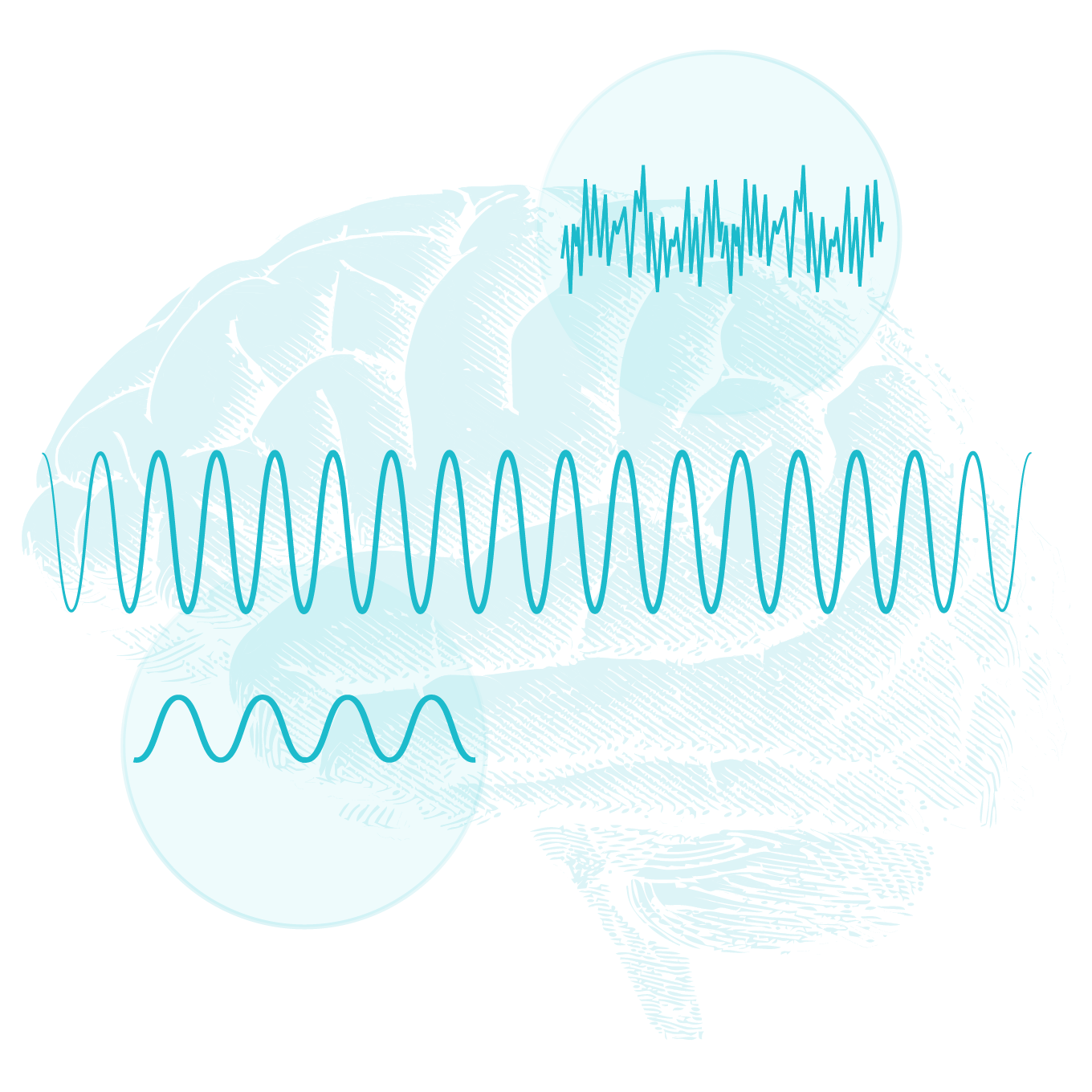 Sports Recovery, Traumatic Brain Injuries, Concussions Treatment ...