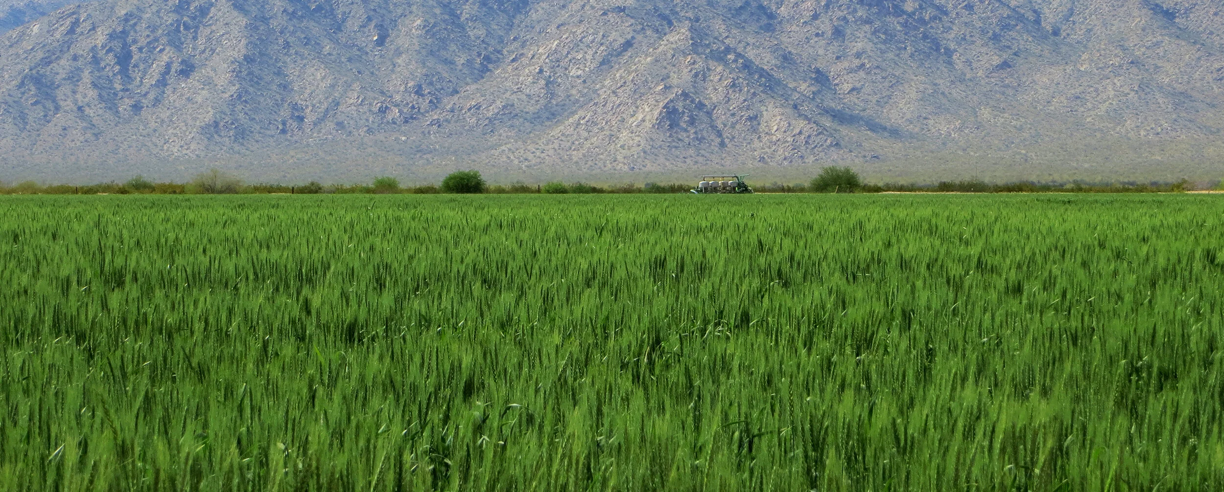 International Farming