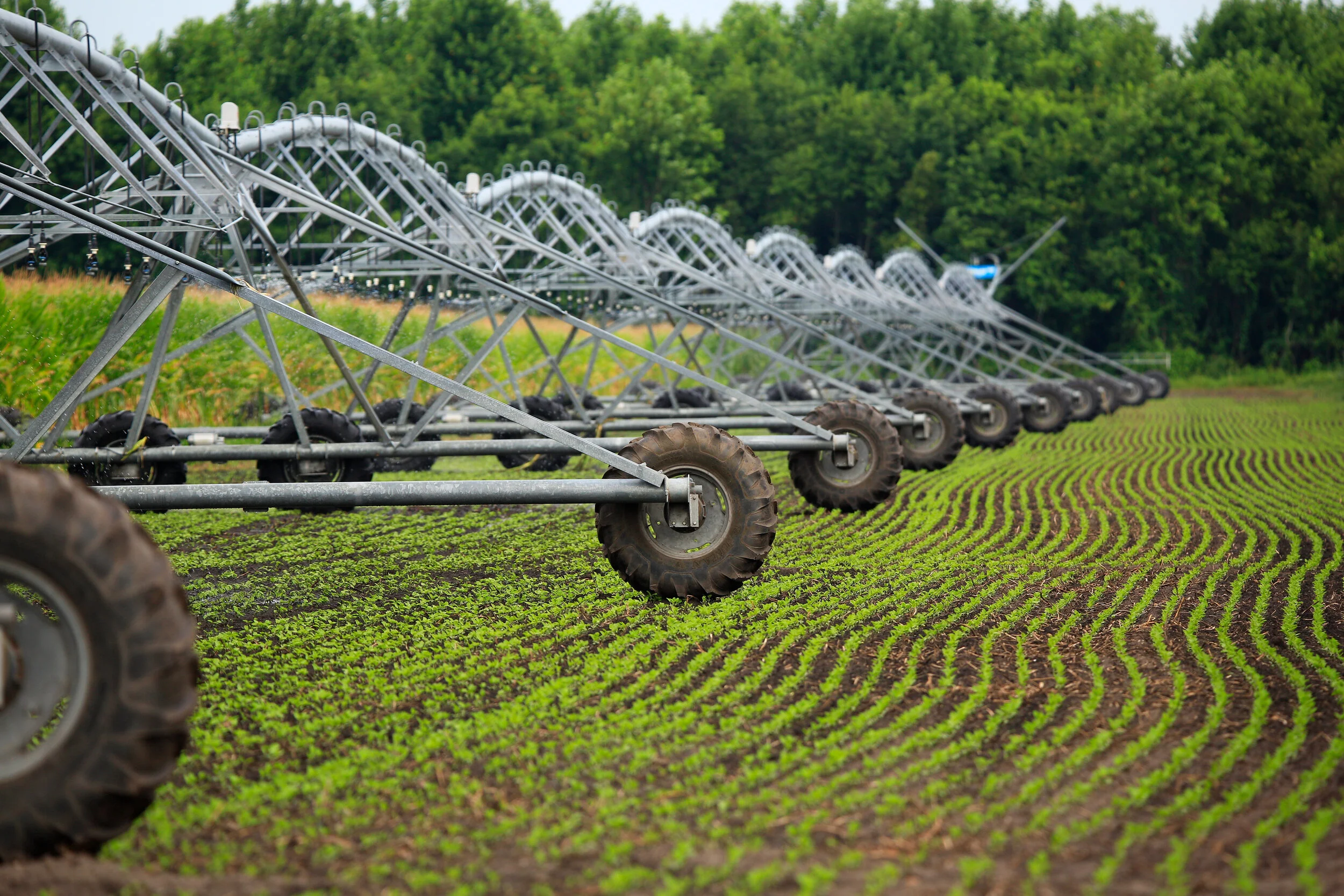 Strategy — International Farming