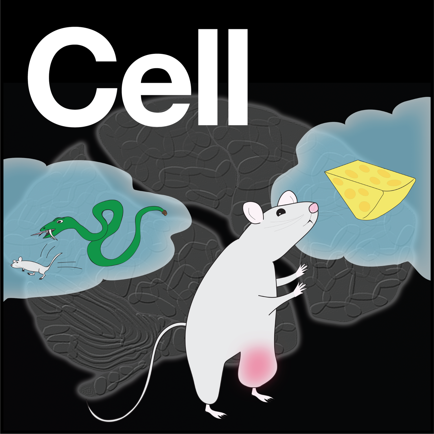 Publications — Alhadeff Lab