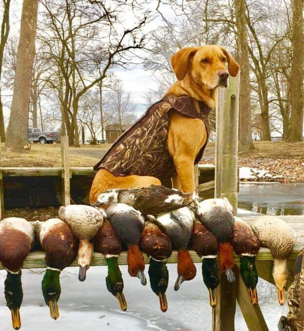 Gallery — North Wind Curls