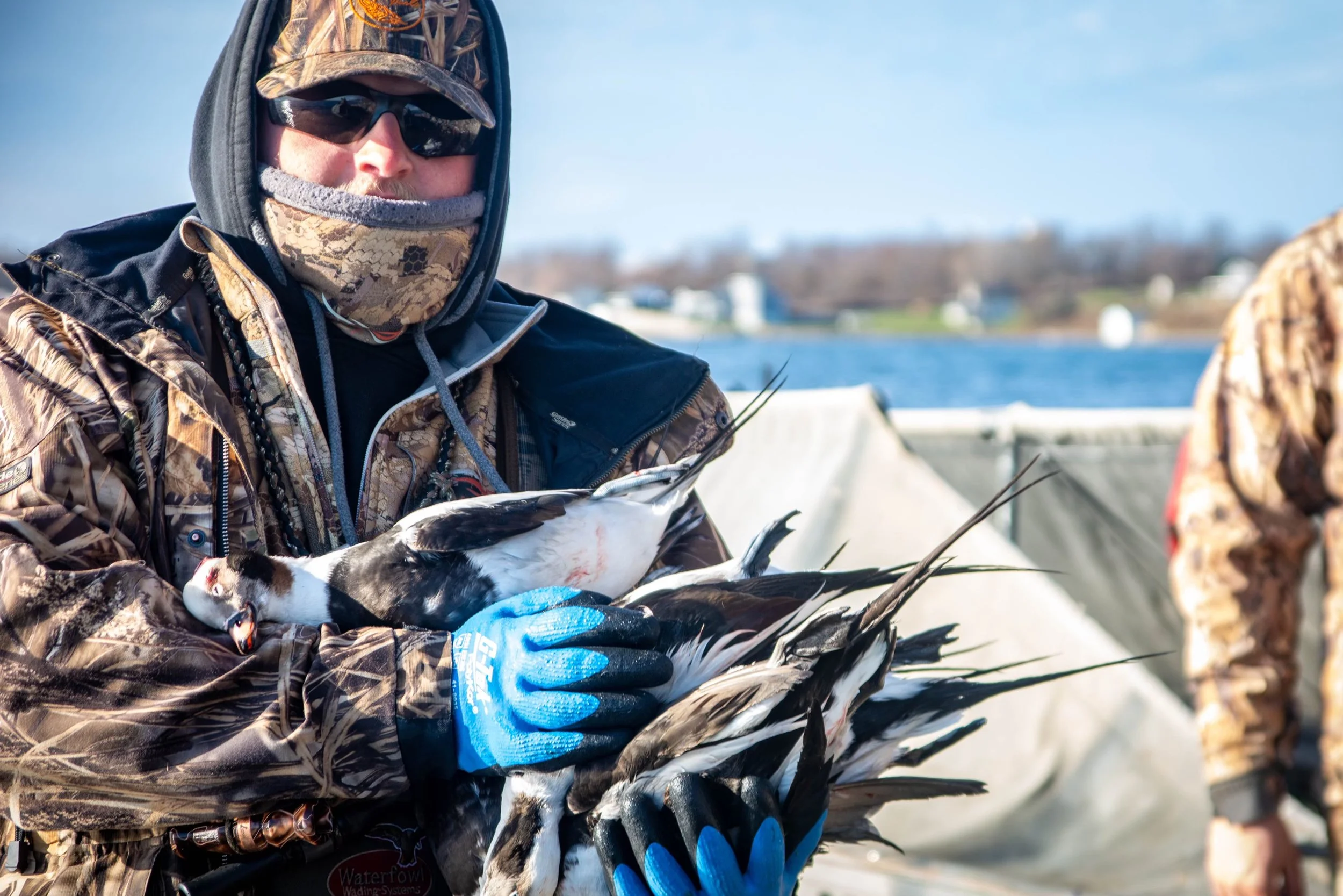North Wind Curls - Guided Hunts in NY