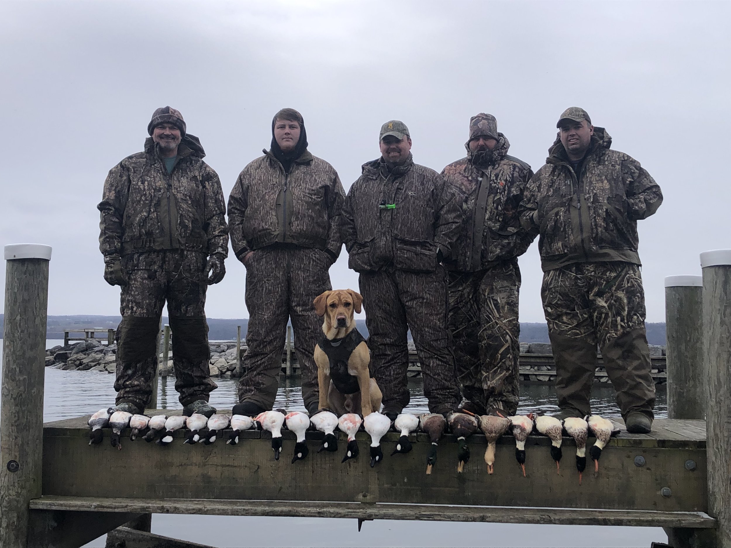 Gallery — North Wind Curls