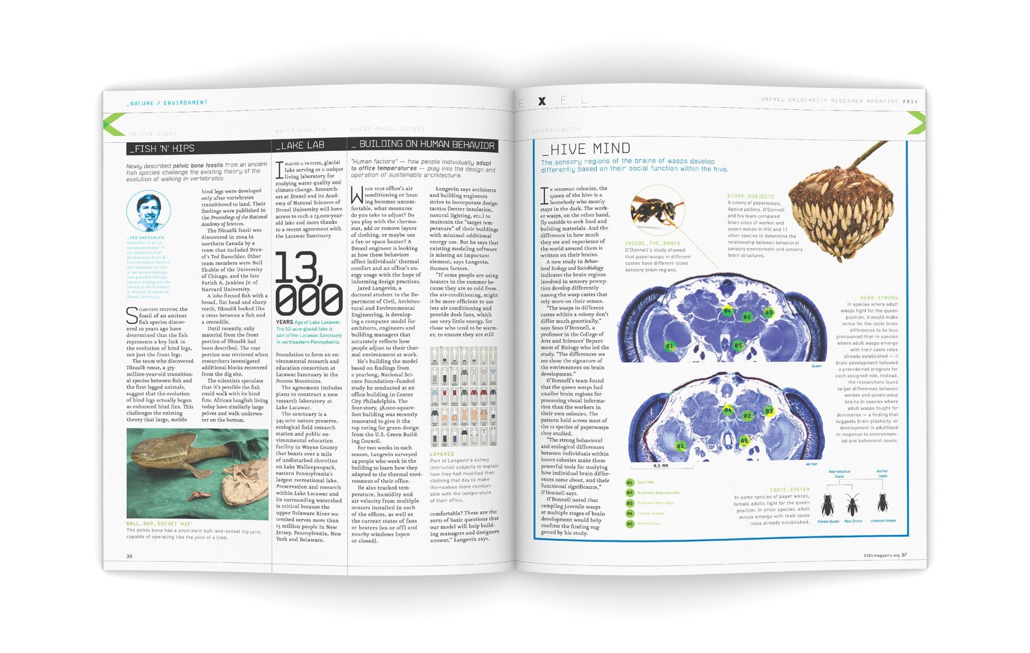 Drexel University — Page 33 Studio / Graphic Design