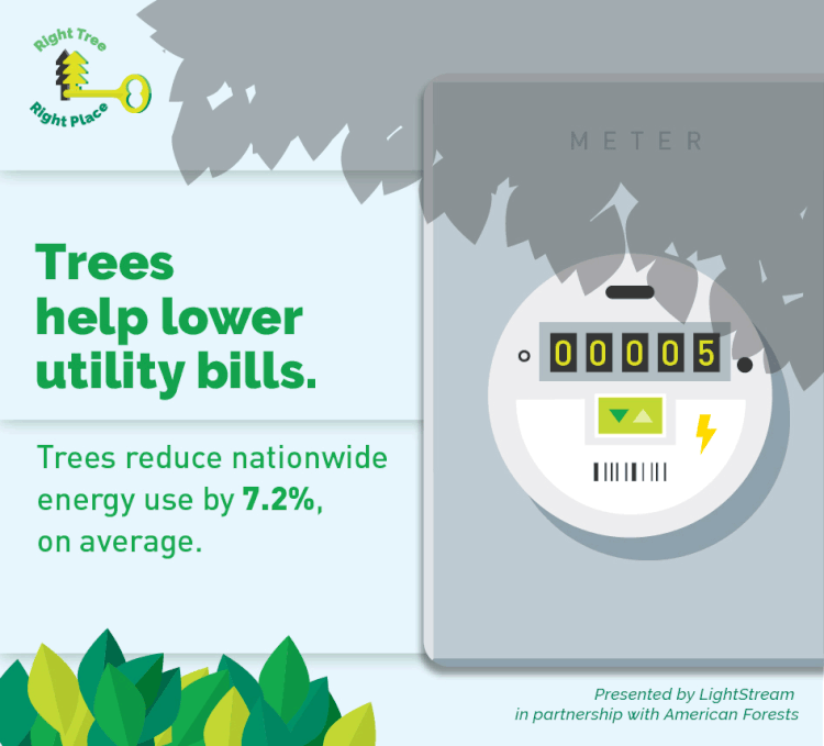 Infographics — Page 33 Studio / Graphic Design