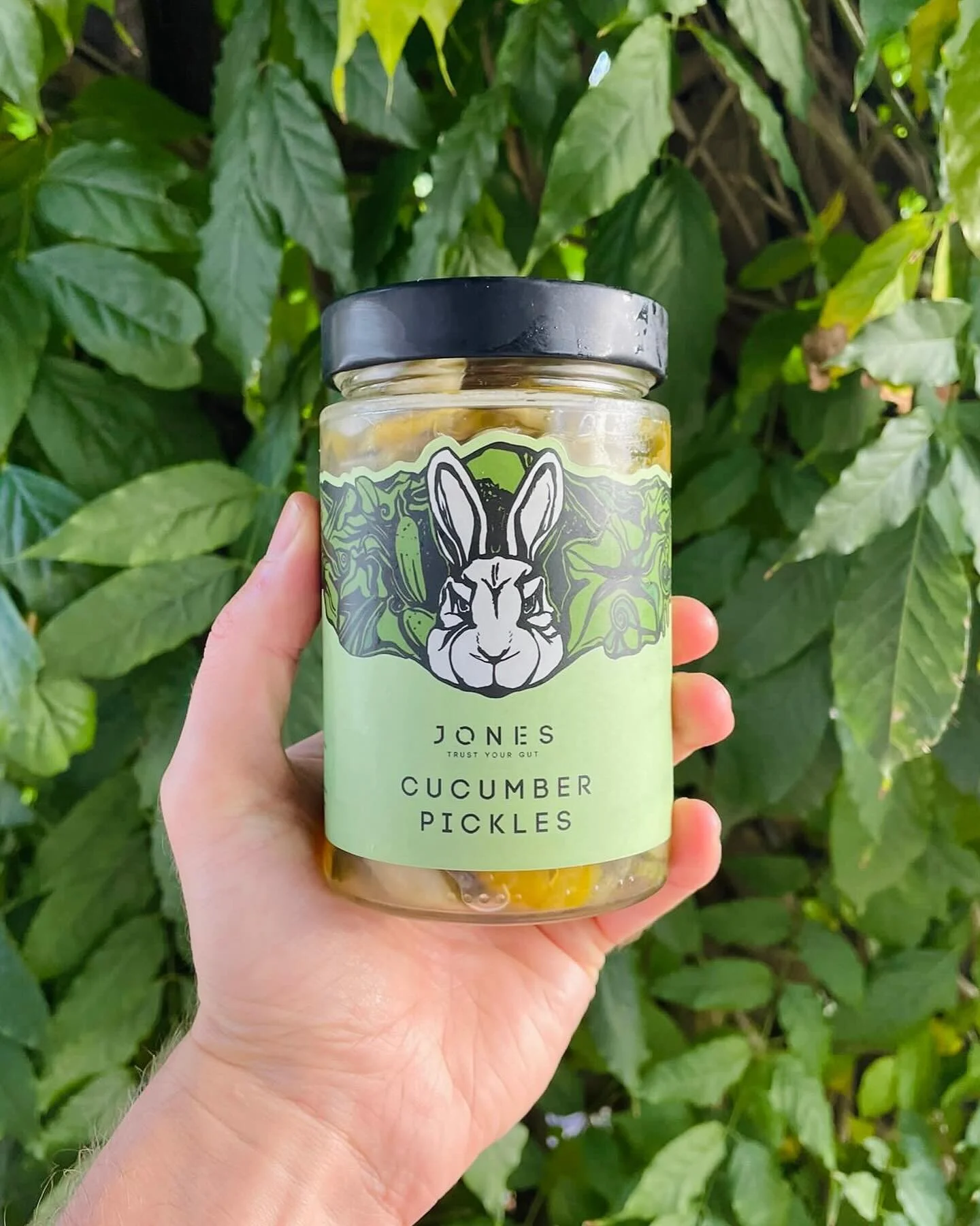 Gut Friendly Foods | Kimchi | Organic Apple Cider Vinegar | Good for ...