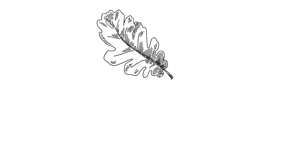 About Us — Auburn Oaks Farm